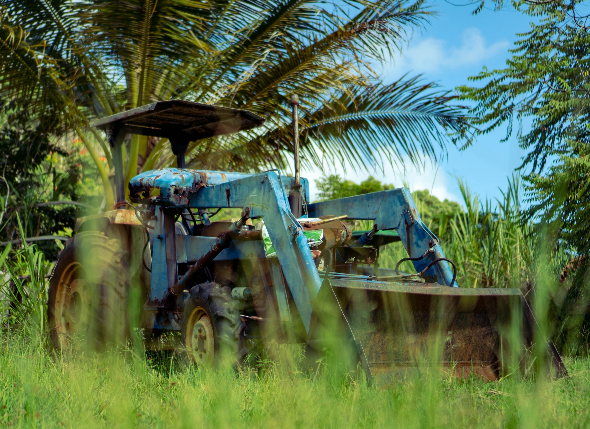 About Us – UpRoot Origin LLC