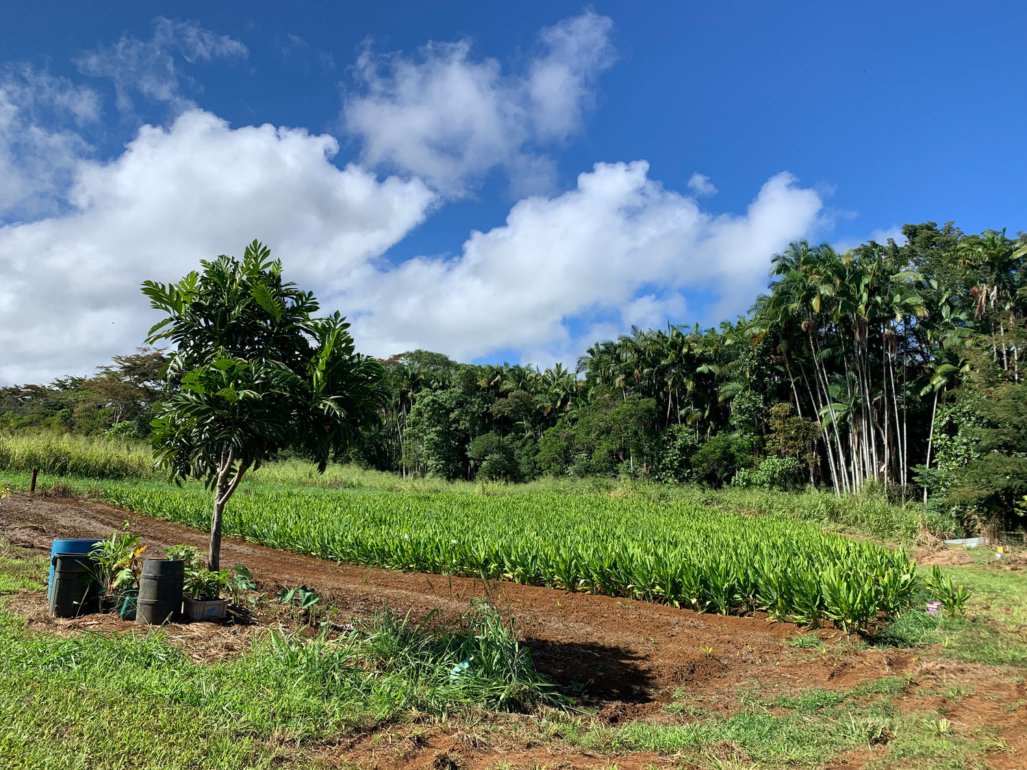 OUR FARMERS – UpRoot Origin LLC