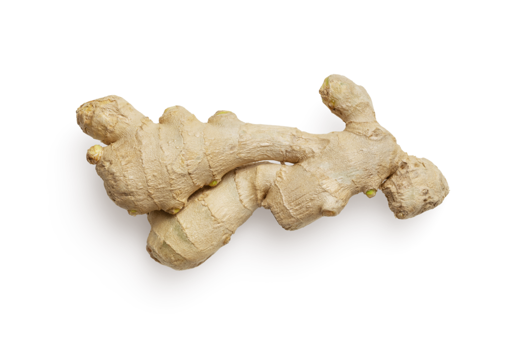 About Us – UpRoot Origin LLC