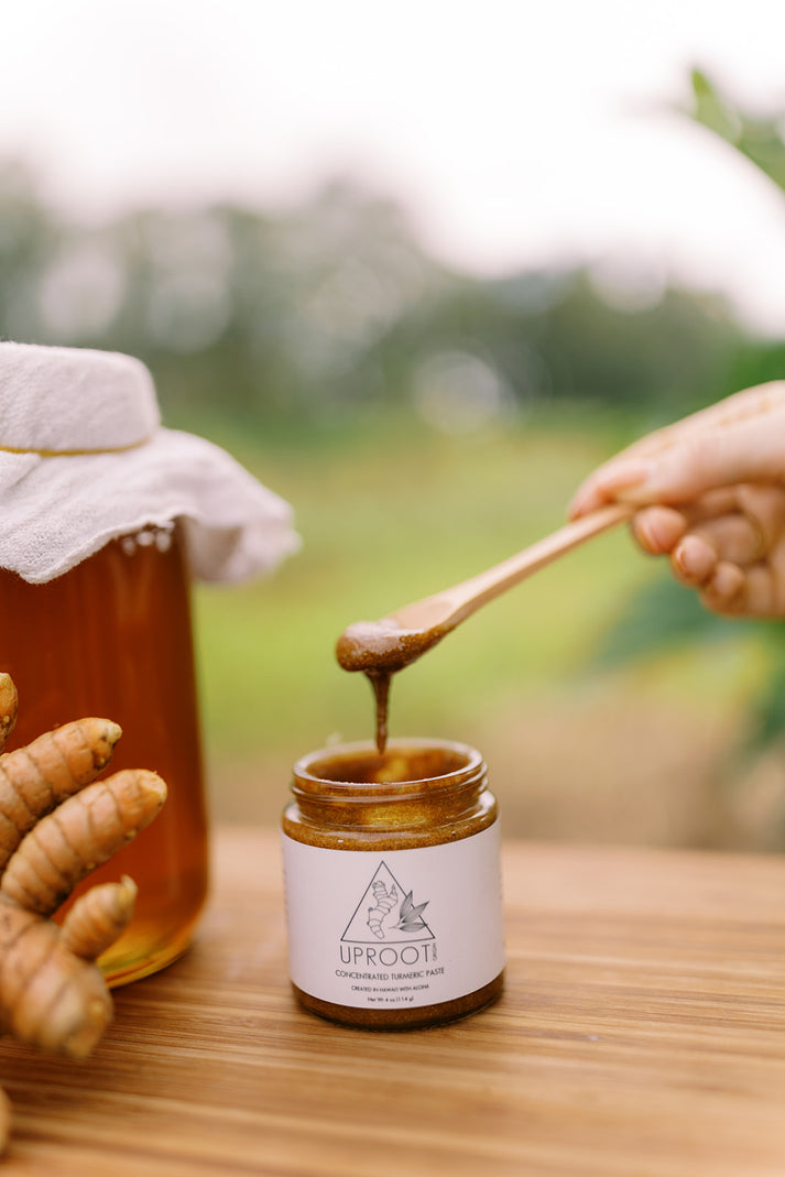 Concentrated Turmeric Honey Paste - 4 oz – UpRoot Origin LLC