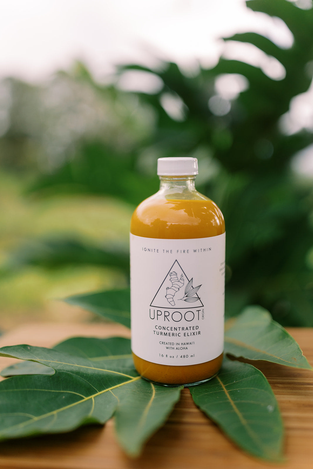 Concentrated Turmeric Elixir - 16 oz – UpRoot Origin LLC