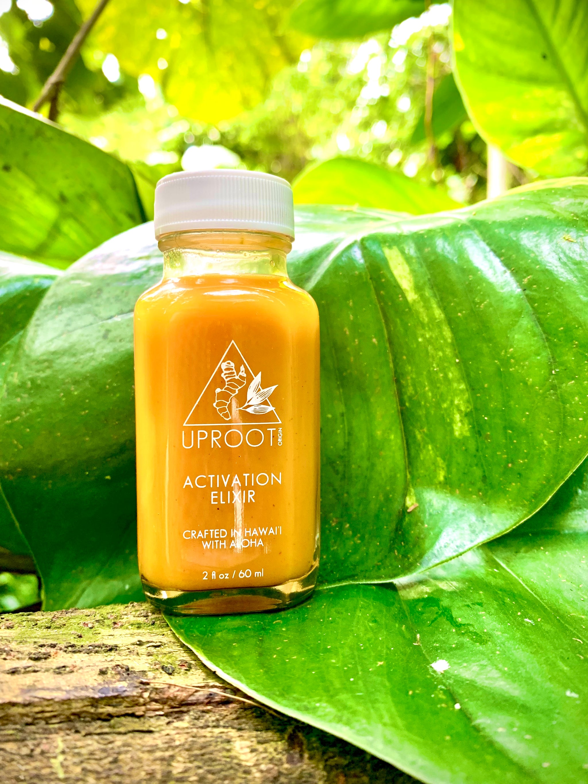 Activation Elixir - 2 oz – UpRoot Origin LLC